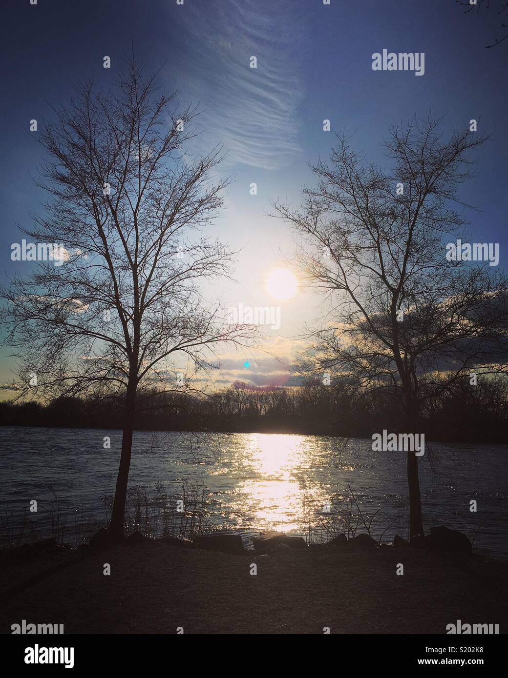 Sunset between trees over water Stock Photo - Alamy