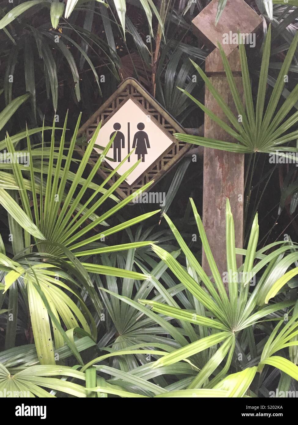 Toilet signage surrounded by tropical leaves Stock Photo - Alamy