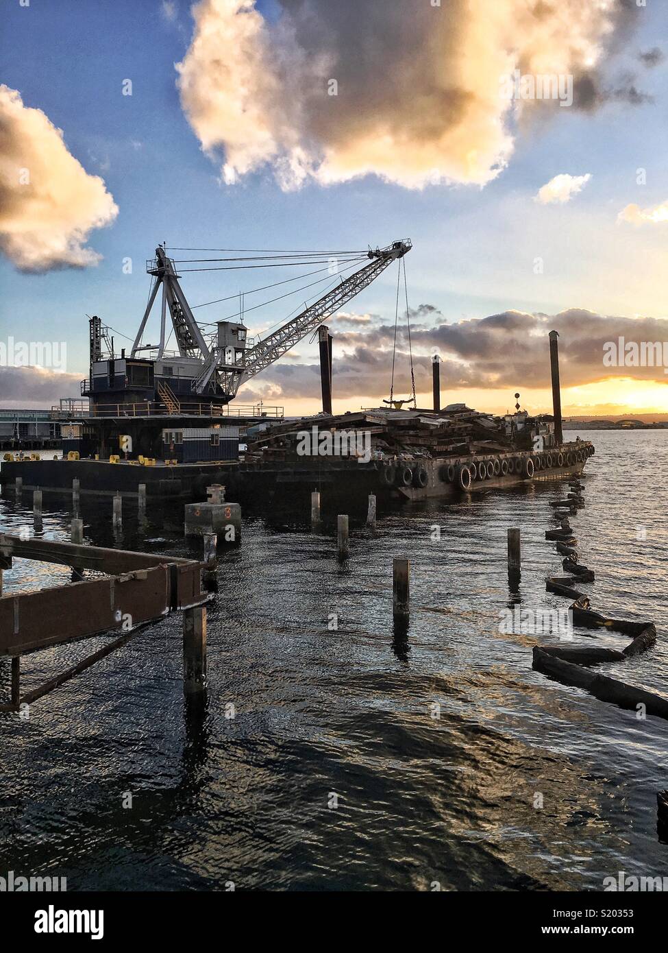 Crane water hi-res stock photography and images - Alamy