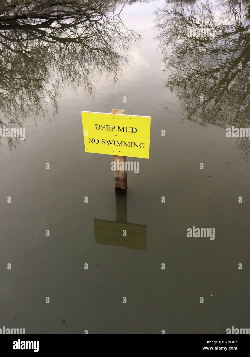 Yellow sign deep mud no swimming at edge of lake with trees reflected ...