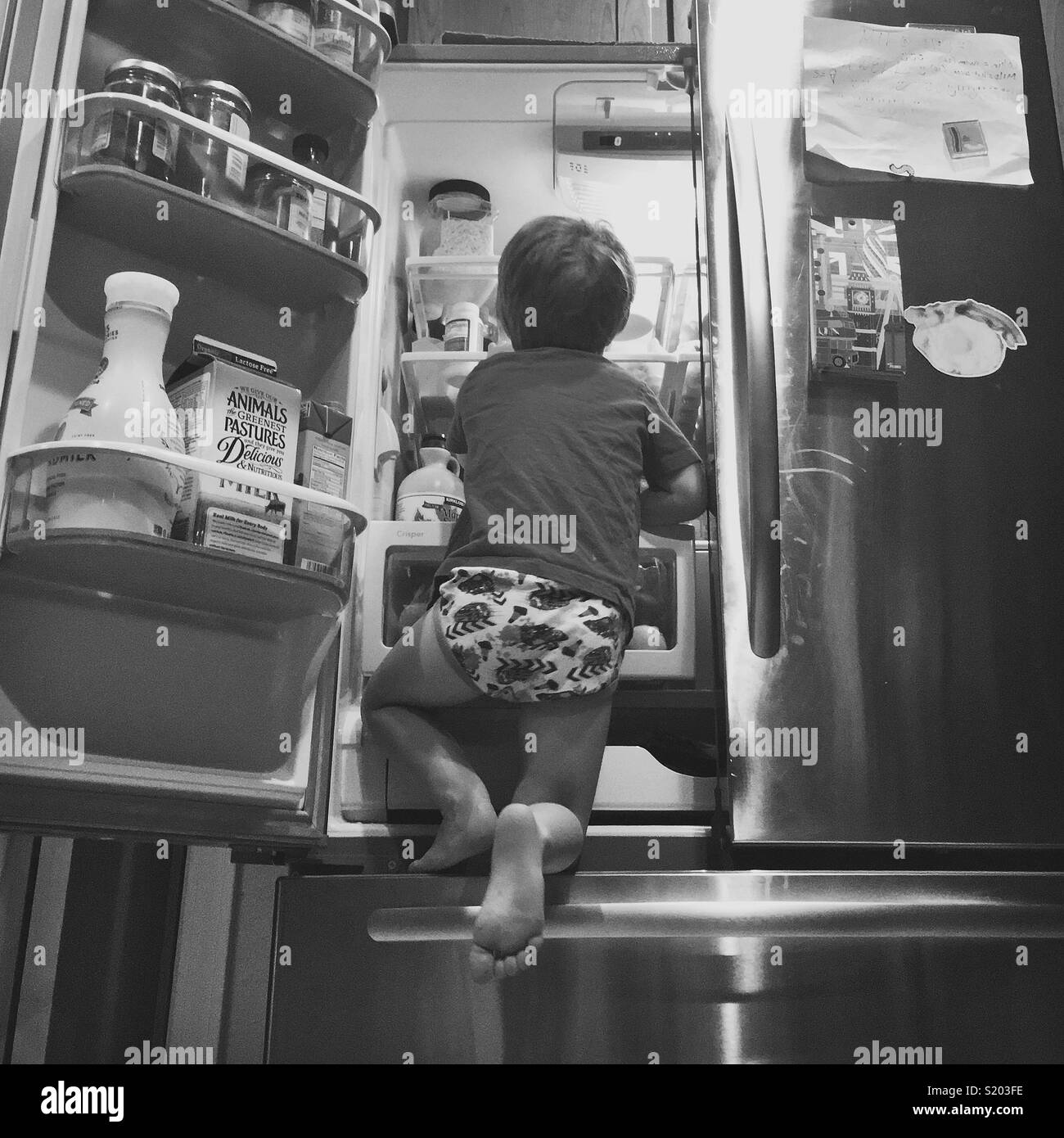 Boy climbing into refrigerator Stock Photo - Alamy