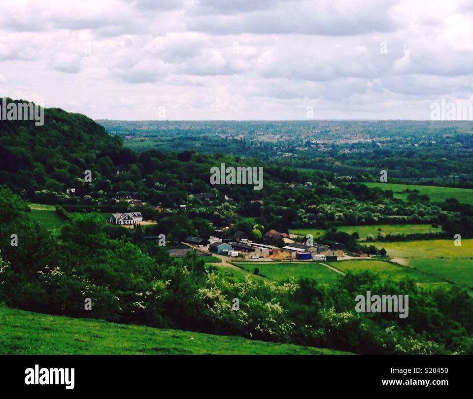 Bluebell hill maidstone hi-res stock photography and images - Alamy