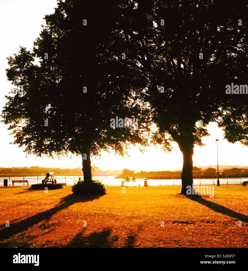 Nature at its finest Stock Photo - Alamy