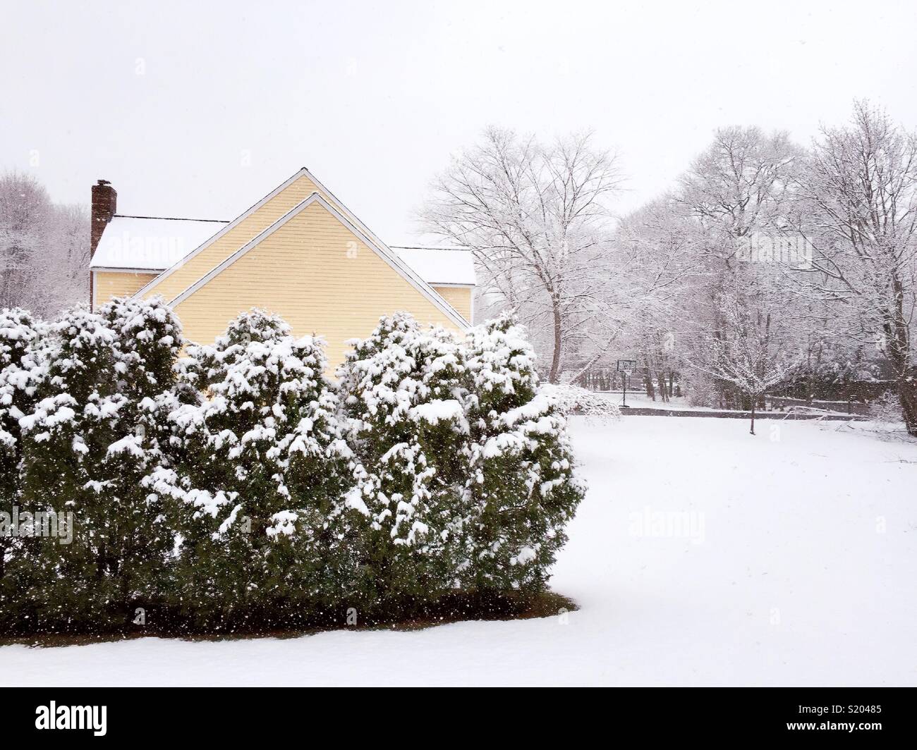 Winter scene of suburban yellow house in New England snowstorm, United ...