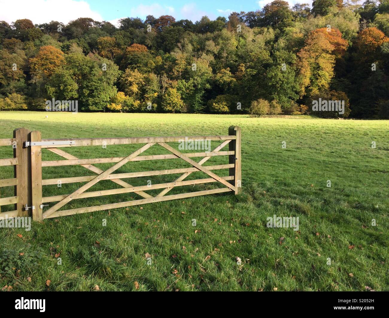 Gate with no fence hi-res stock photography and images - Alamy