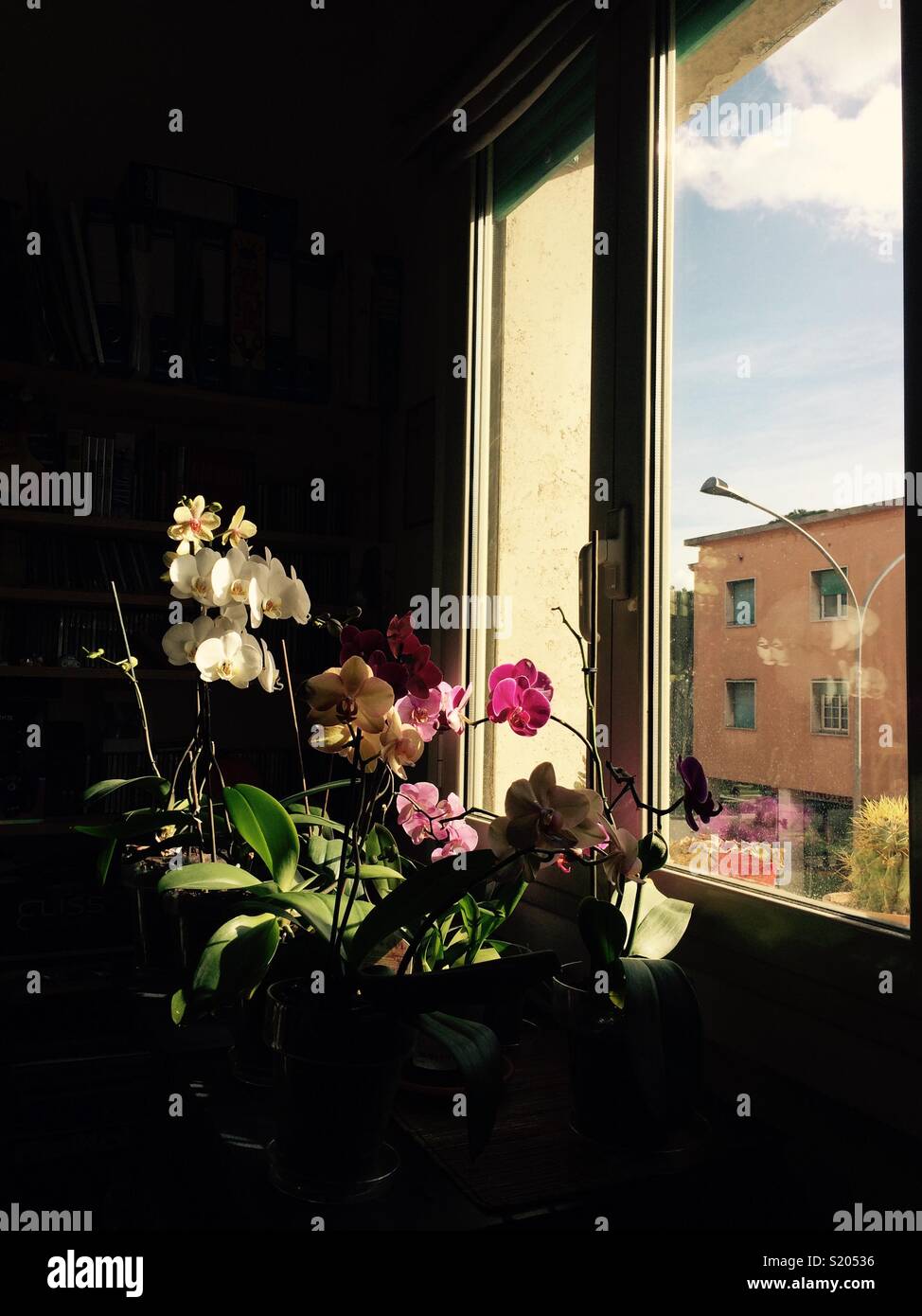 Window to light hi-res stock photography and images - Alamy