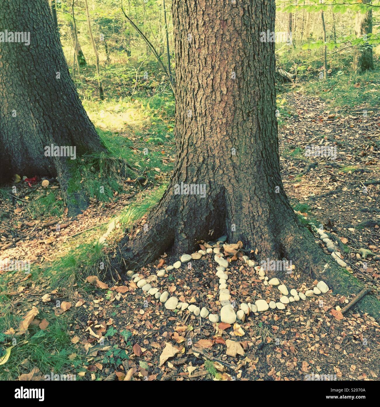 Peace sign at a tree Stock Photo - Alamy