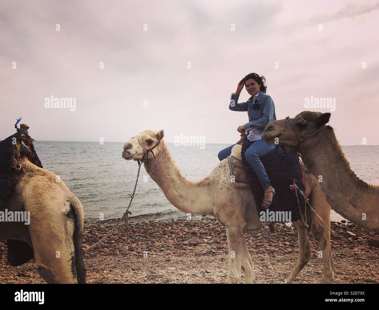 Girl riding a camel hi-res stock photography and images - Alamy
