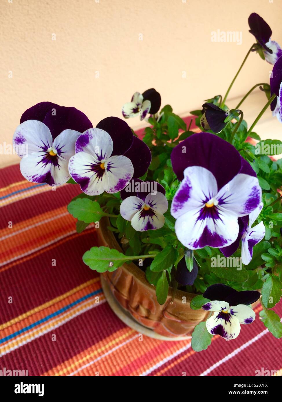 Spring colored hi-res stock photography and images - Alamy