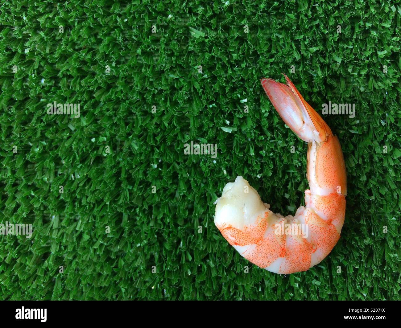 Wallpaper shrimp hi-res stock photography and images - Alamy