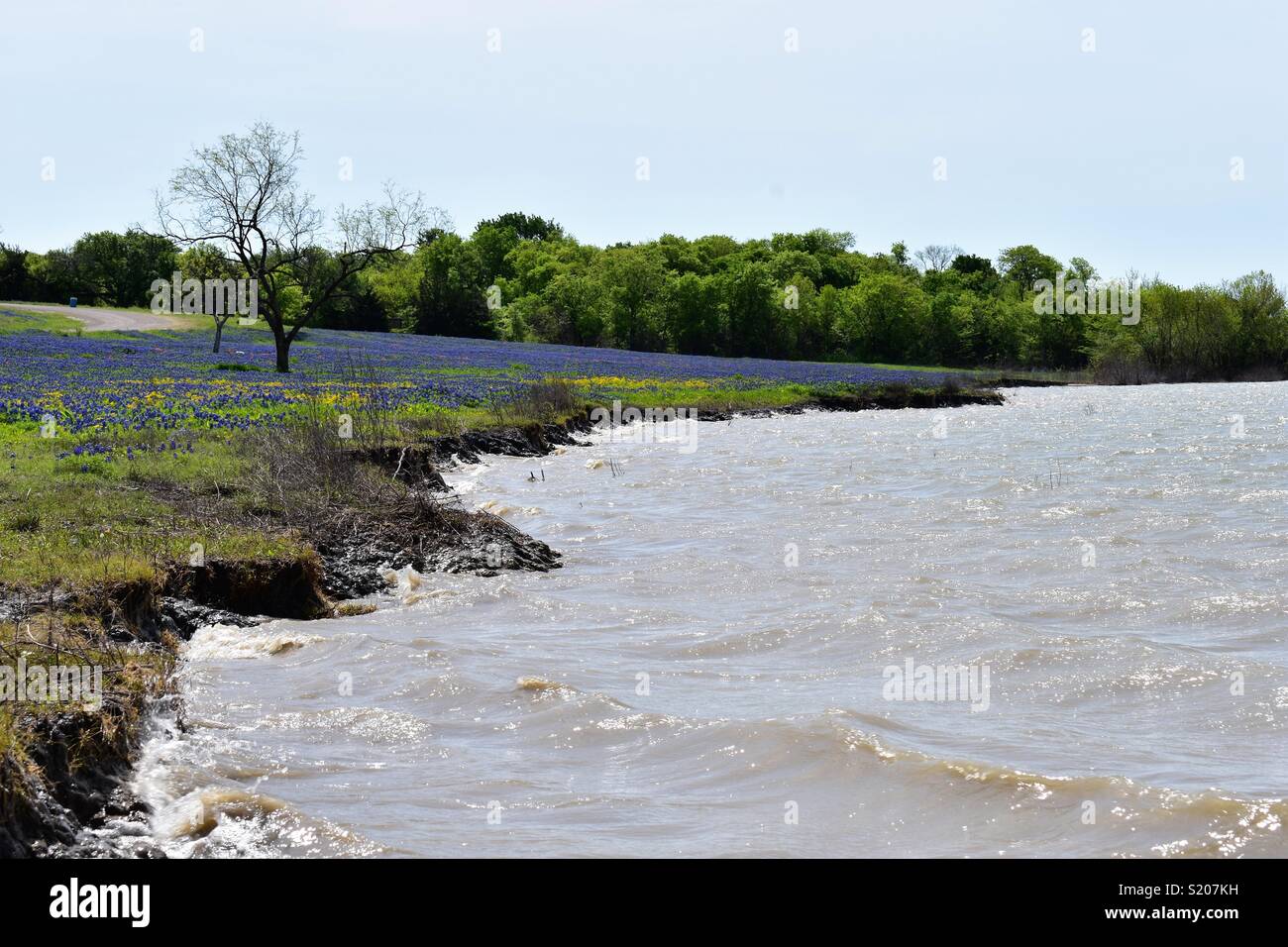 Bardwell hi-res stock photography and images - Alamy