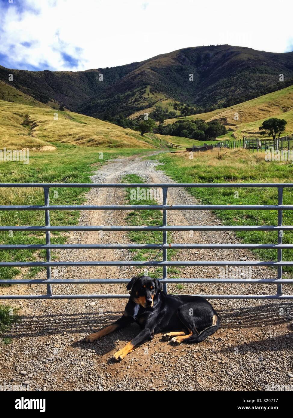 Guard dog gate hi-res stock photography and images - Alamy