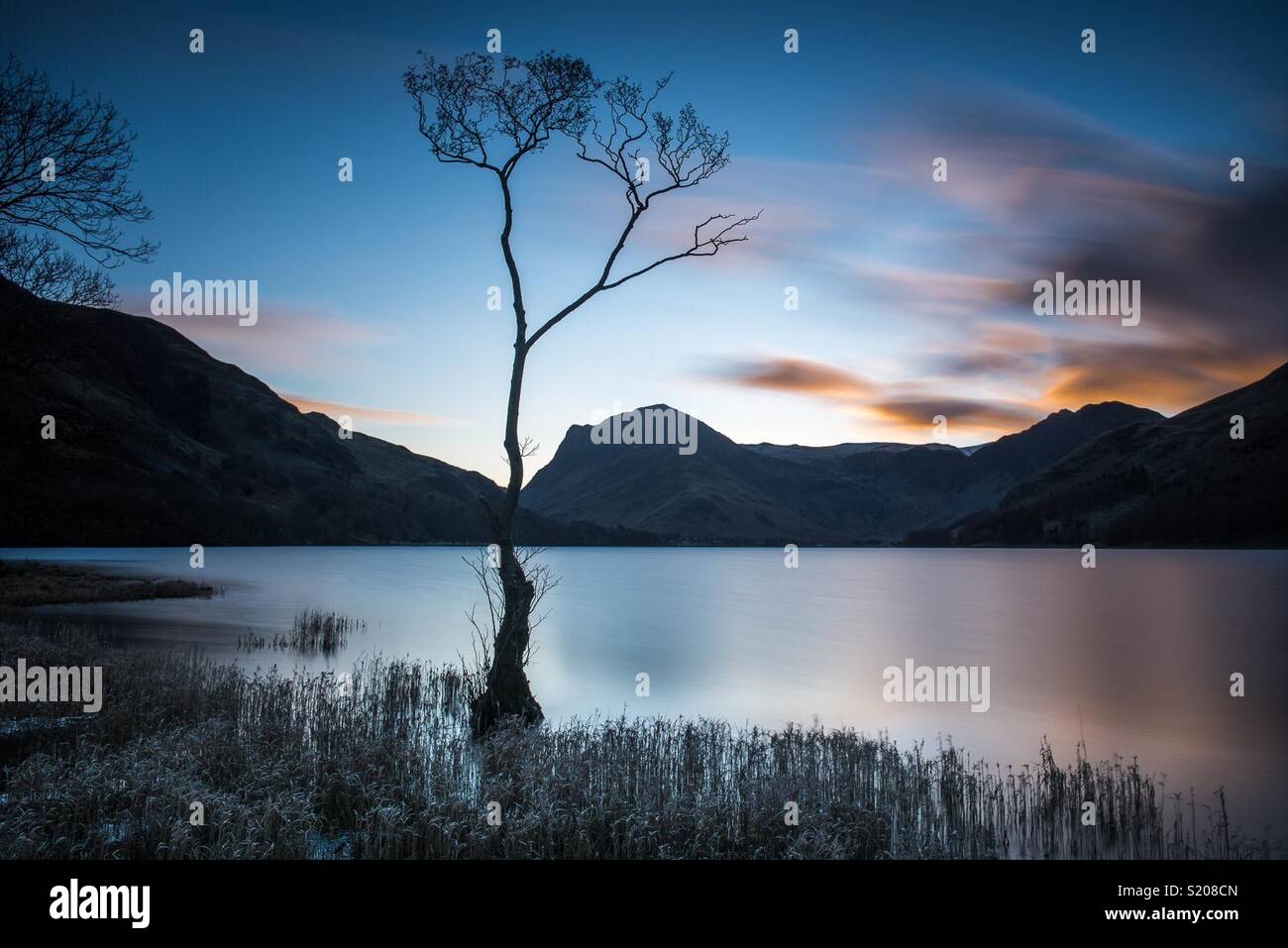 Lone tree in Buttermere in the English Lake District Stock Photo - Alamy