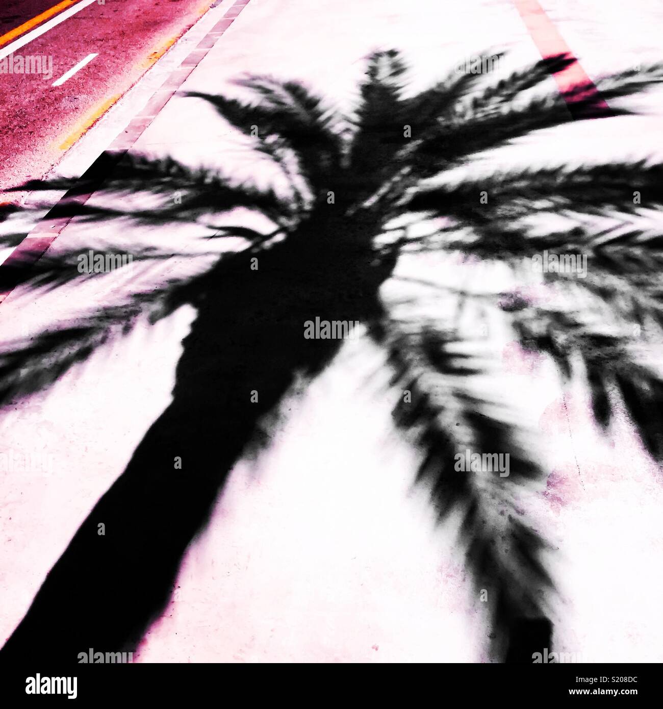 Tree shadow with sun hi-res stock photography and images - Alamy