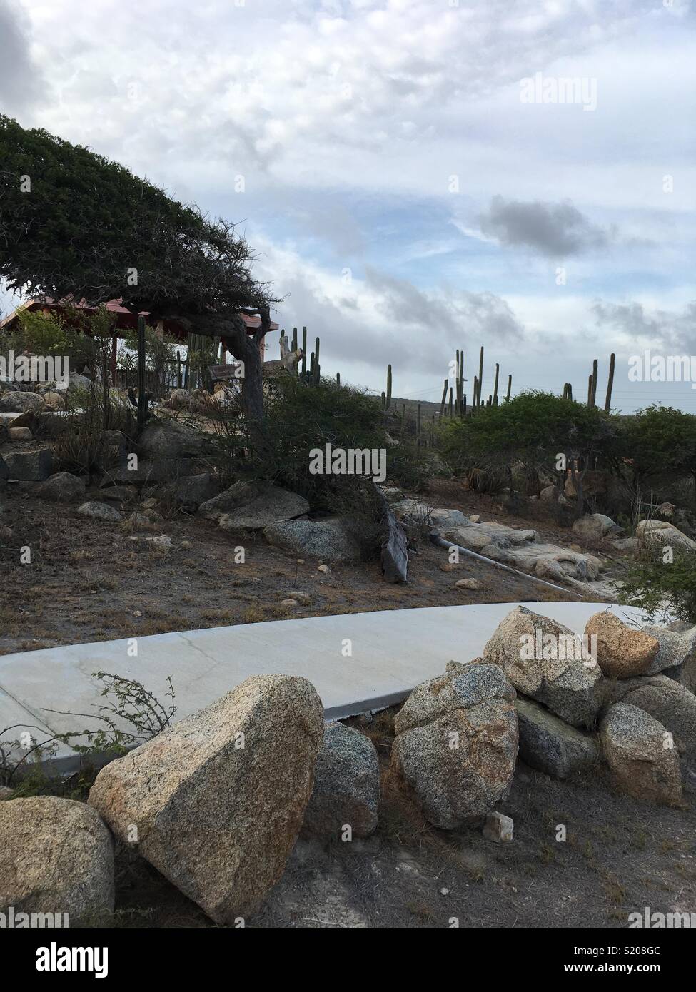 Aruba parks hi-res stock photography and images - Alamy