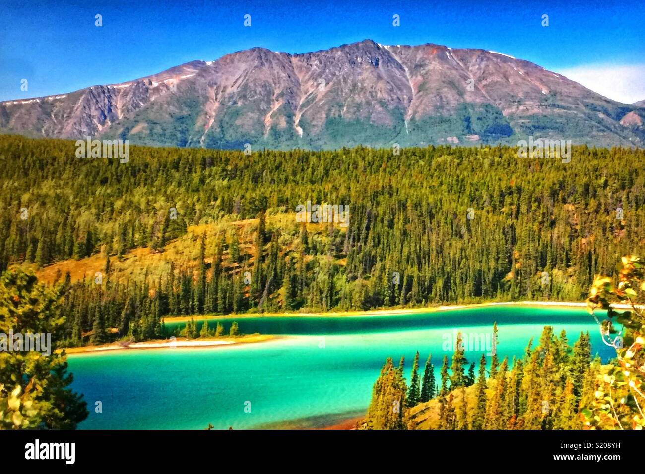 Emerald Lake, Yukon, Canada Stock Photo - Alamy