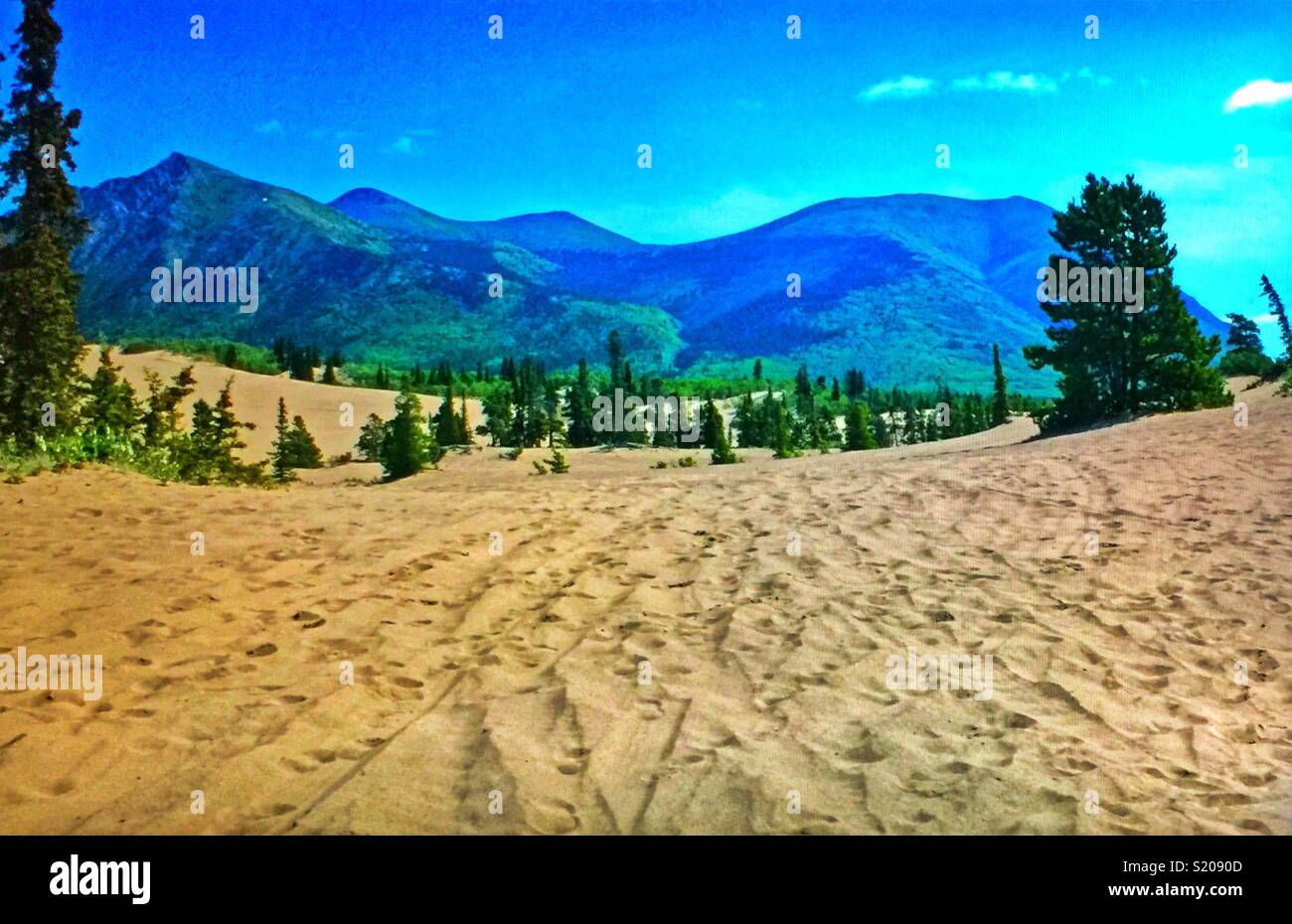 Carcross desert, Yukon, Canada Stock Photo - Alamy