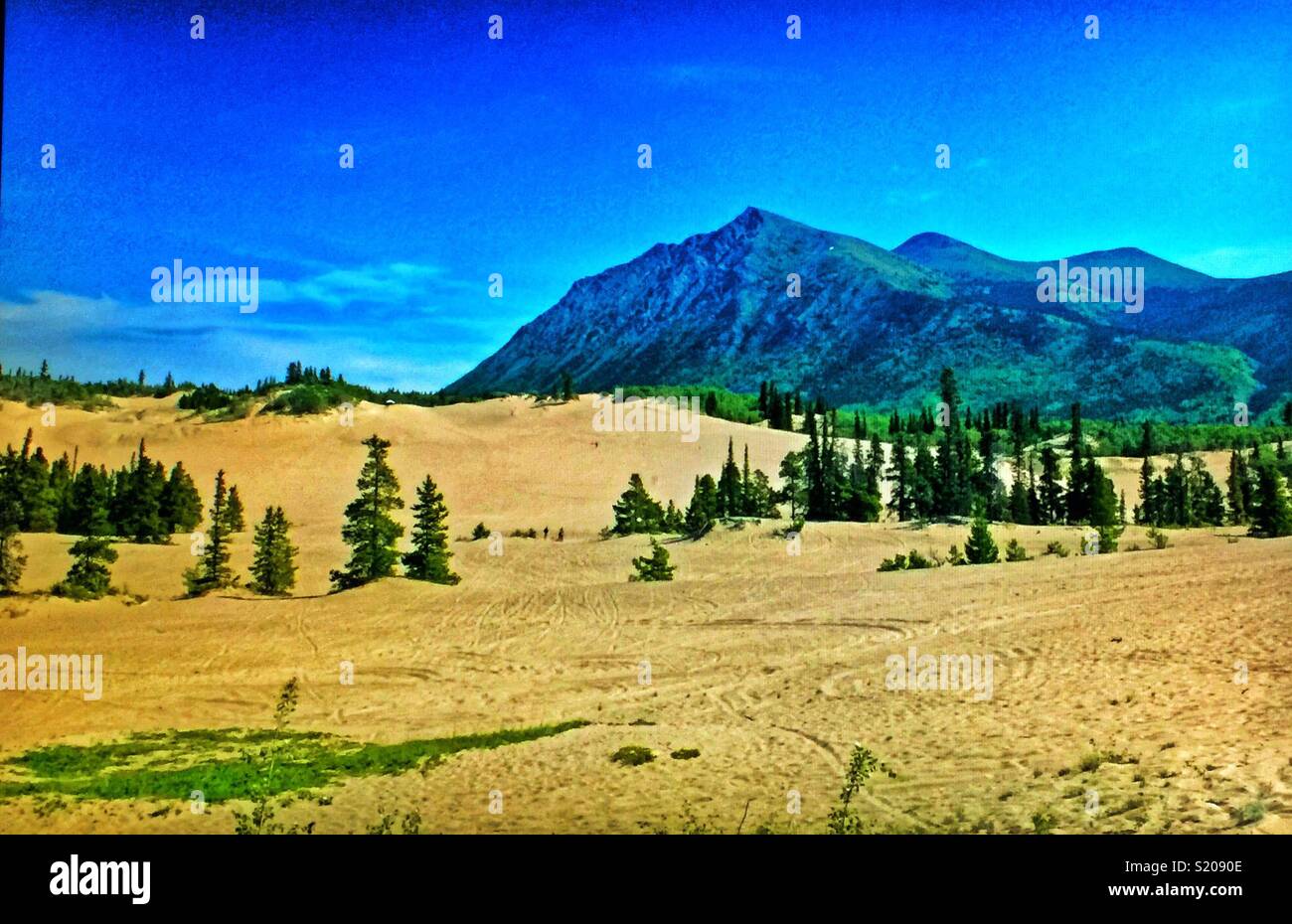 Carcross desert, Yukon, Canada Stock Photo - Alamy