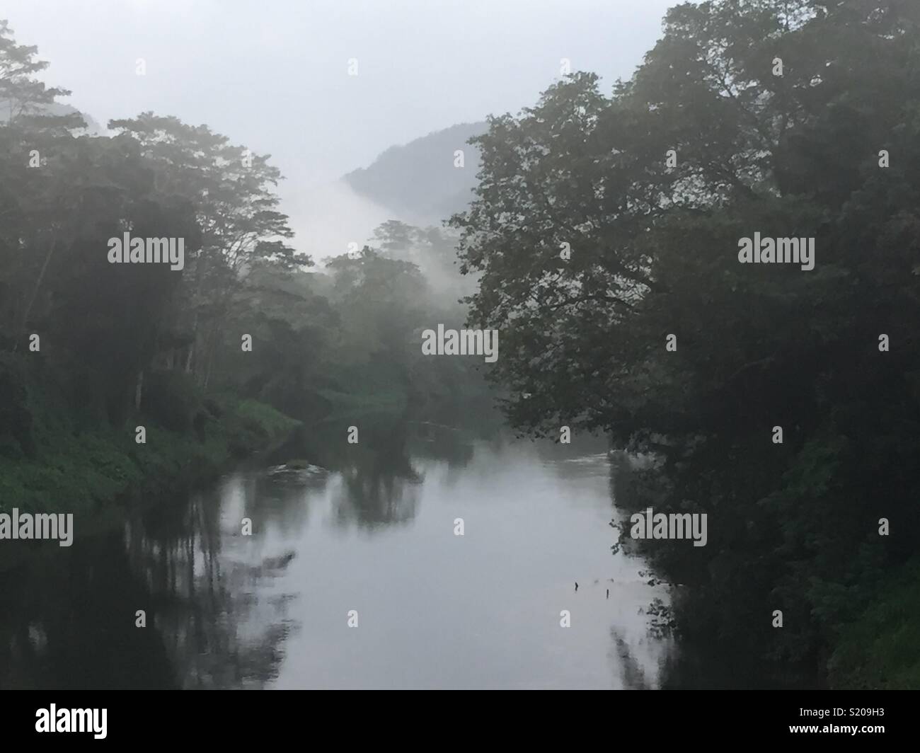 a river in Awissawella in Sri Lanka Stock Photo - Alamy