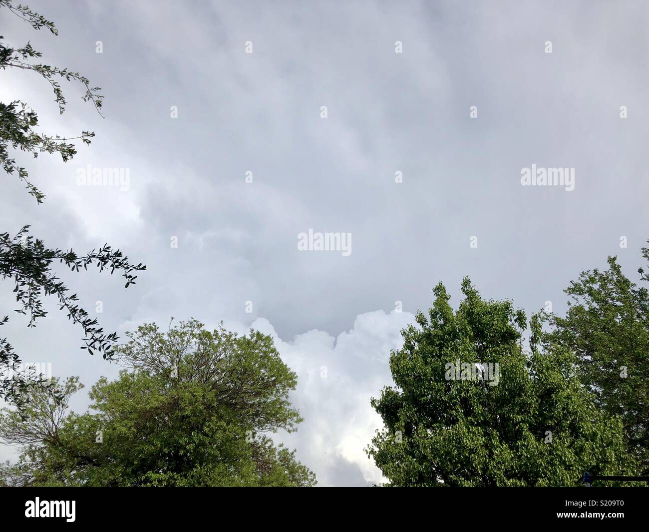 Incoming spring hi-res stock photography and images - Alamy