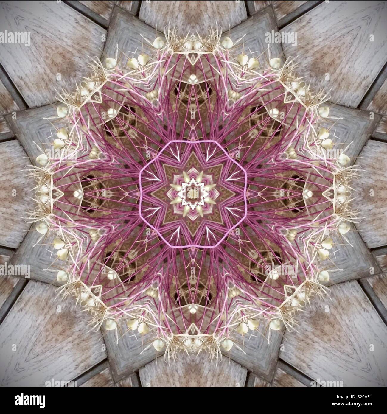 Pink mandala hi-res stock photography and images - Alamy