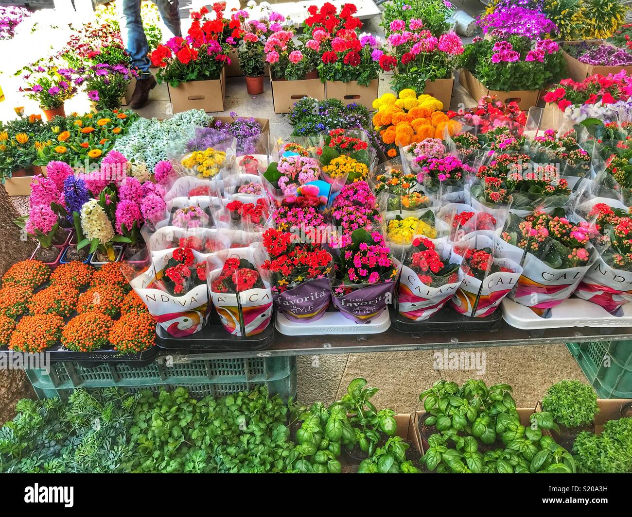 Colourful flower and plant stall at an outdoor market in Javea, Spain ...