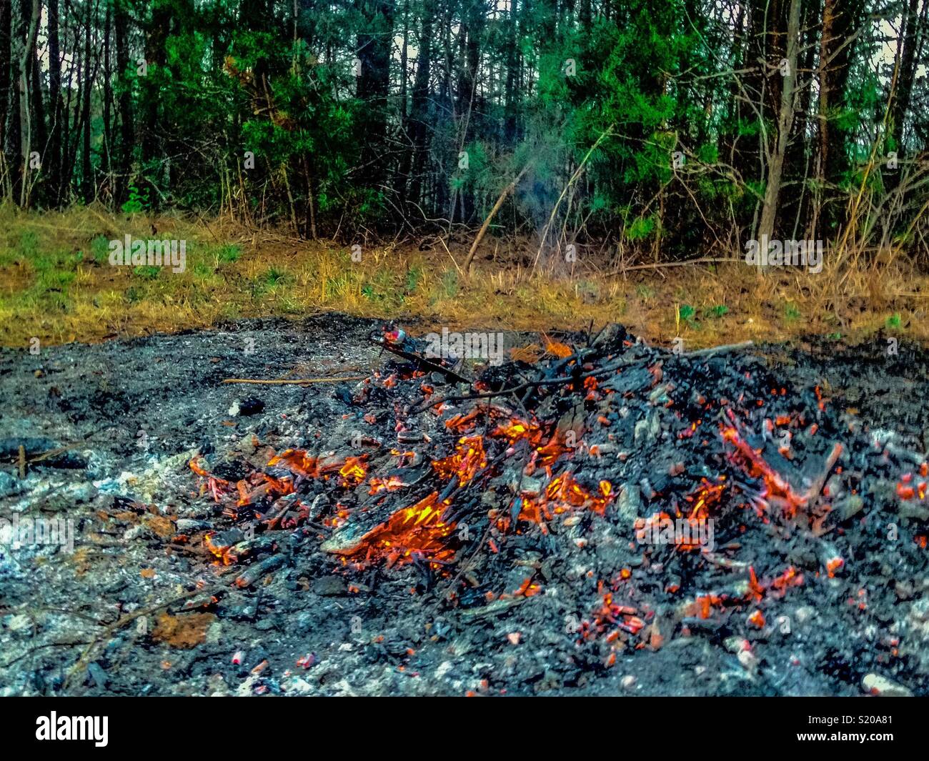 Bright embers on brush/trash fire Stock Photo - Alamy