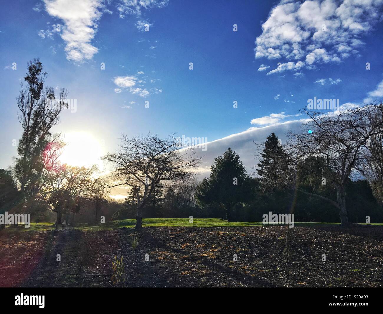 Sunrise through the trees hi-res stock photography and images - Alamy