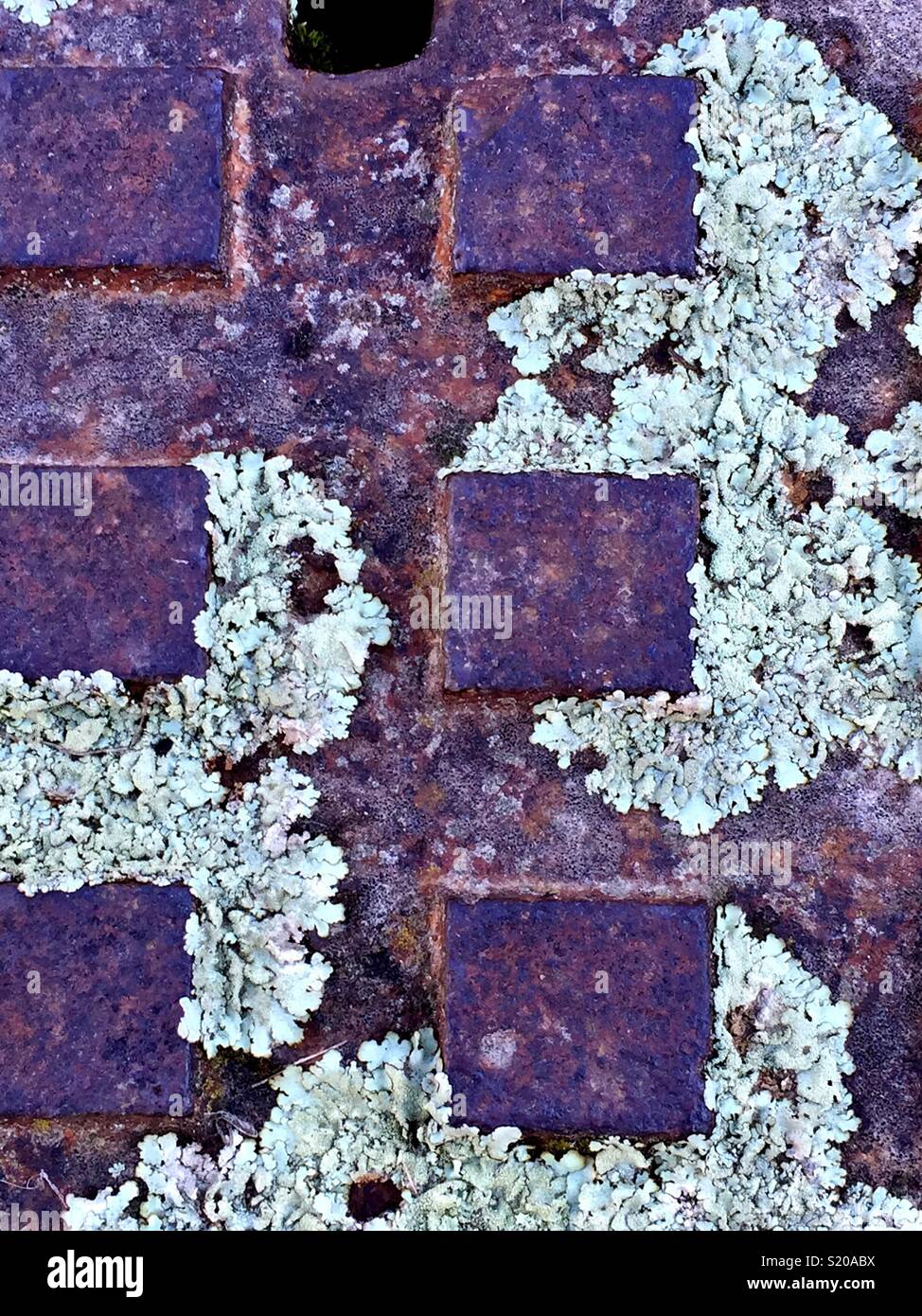 Lichen colours hi-res stock photography and images - Alamy