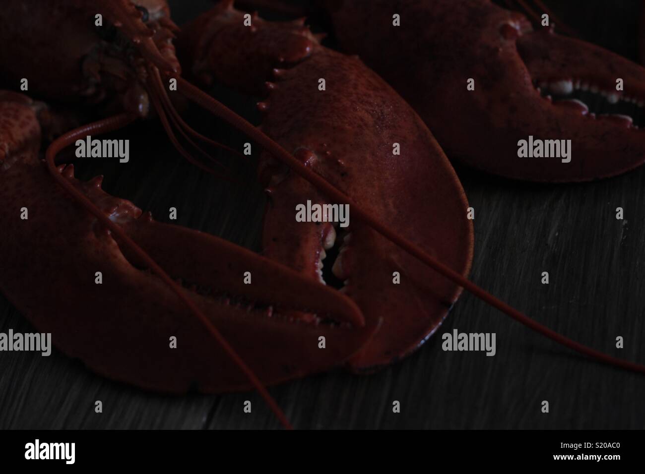 Crush lobster hi-res stock photography and images - Alamy