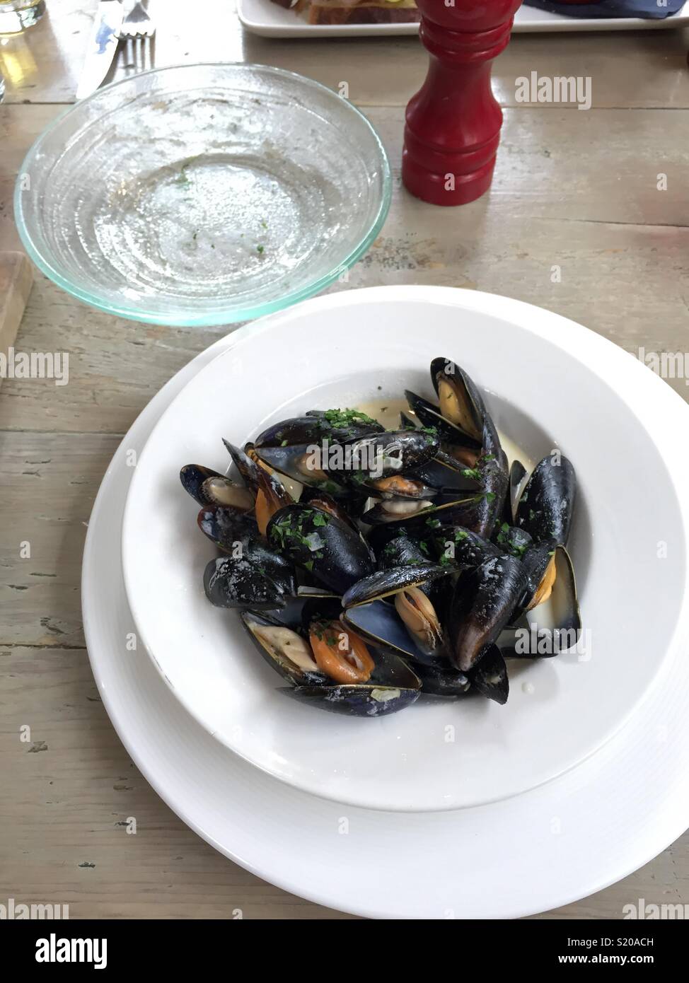 A plate of cooked mussels Stock Photo - Alamy