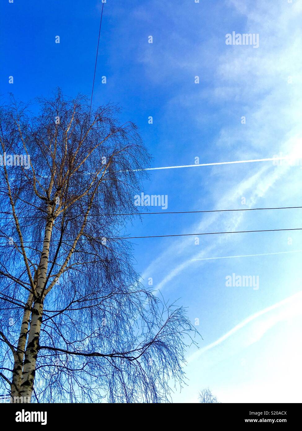 wood and lines Stock Photo - Alamy