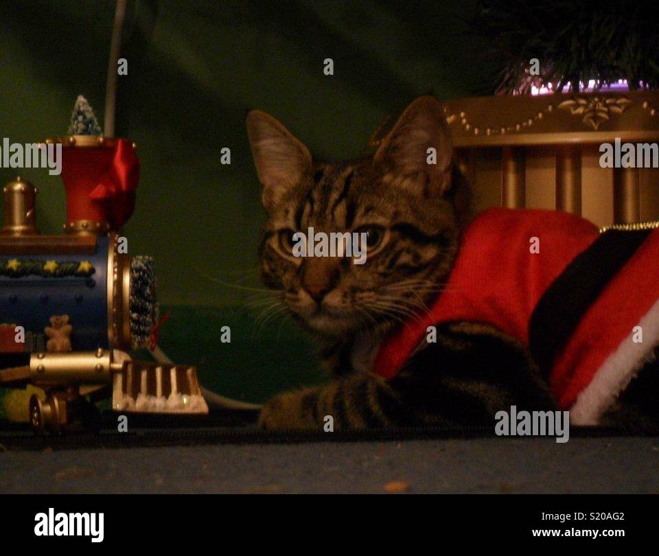 Santa claws hi-res stock photography and images - Alamy