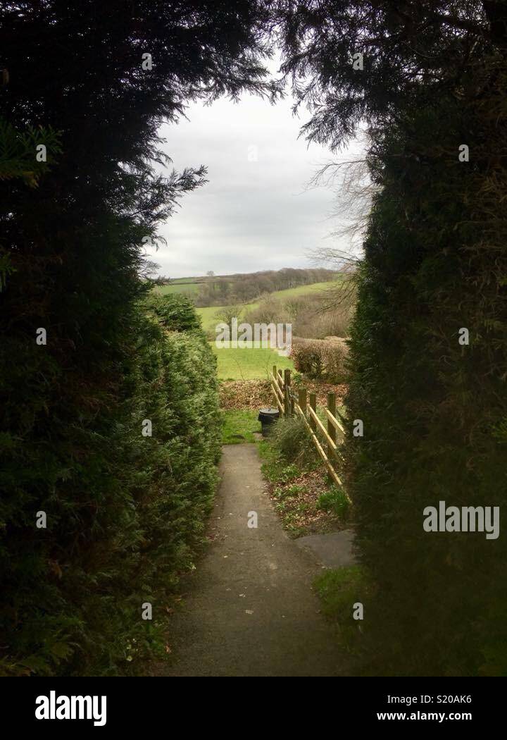 Through the hedgerow Stock Photo - Alamy