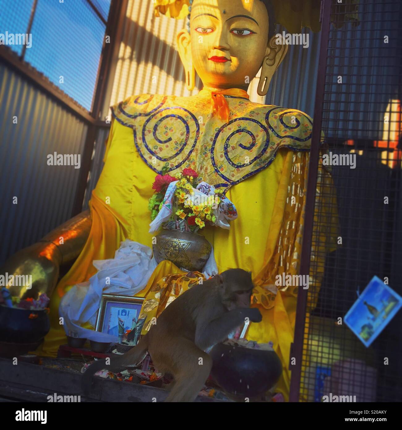 Karma statue with a monkey & offerings Stock Photo - Alamy