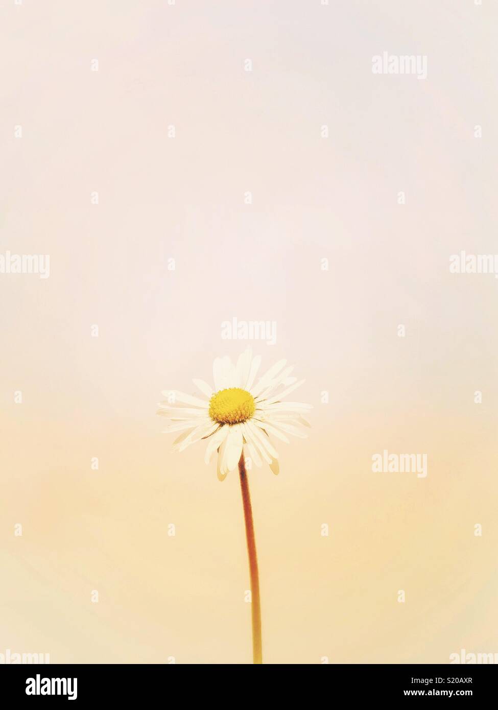 Seasonally hi-res stock photography and images - Alamy