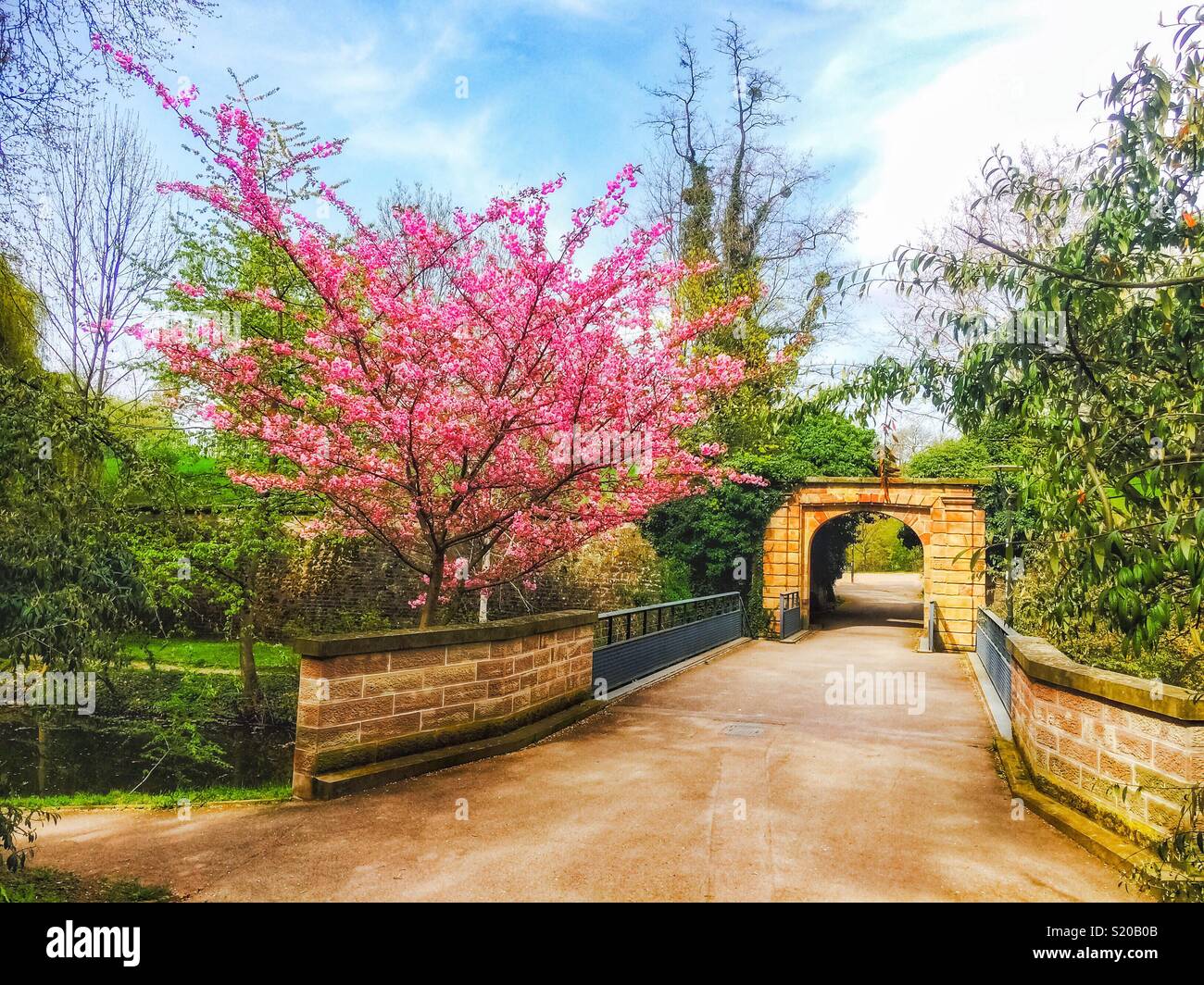 Spring strasbourg hi-res stock photography and images - Alamy