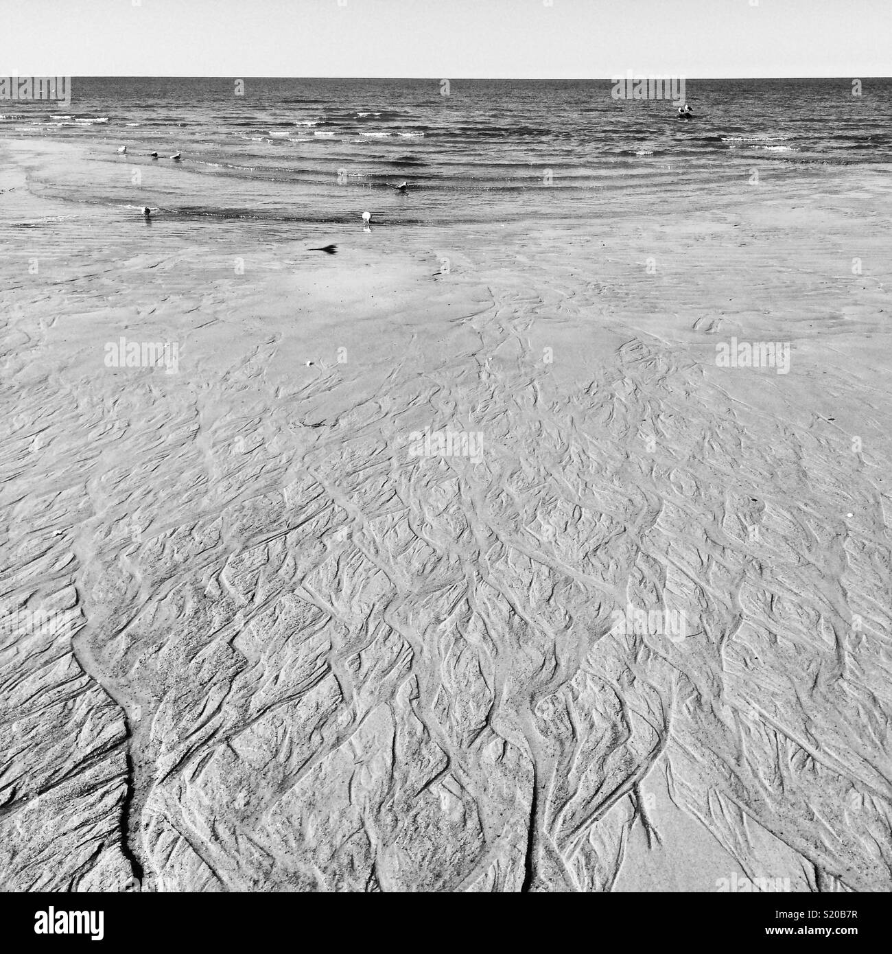 Patterns in the sand at low tide, Cape Cod, Massachusetts, United ...