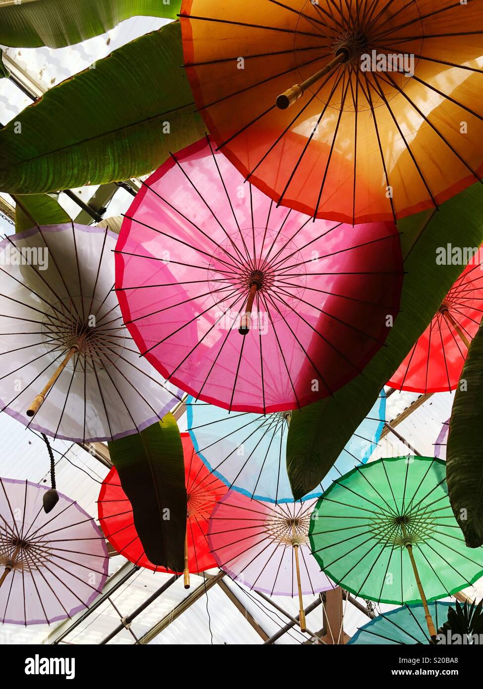Umbrellas at ceiling hi-res stock photography and images - Alamy