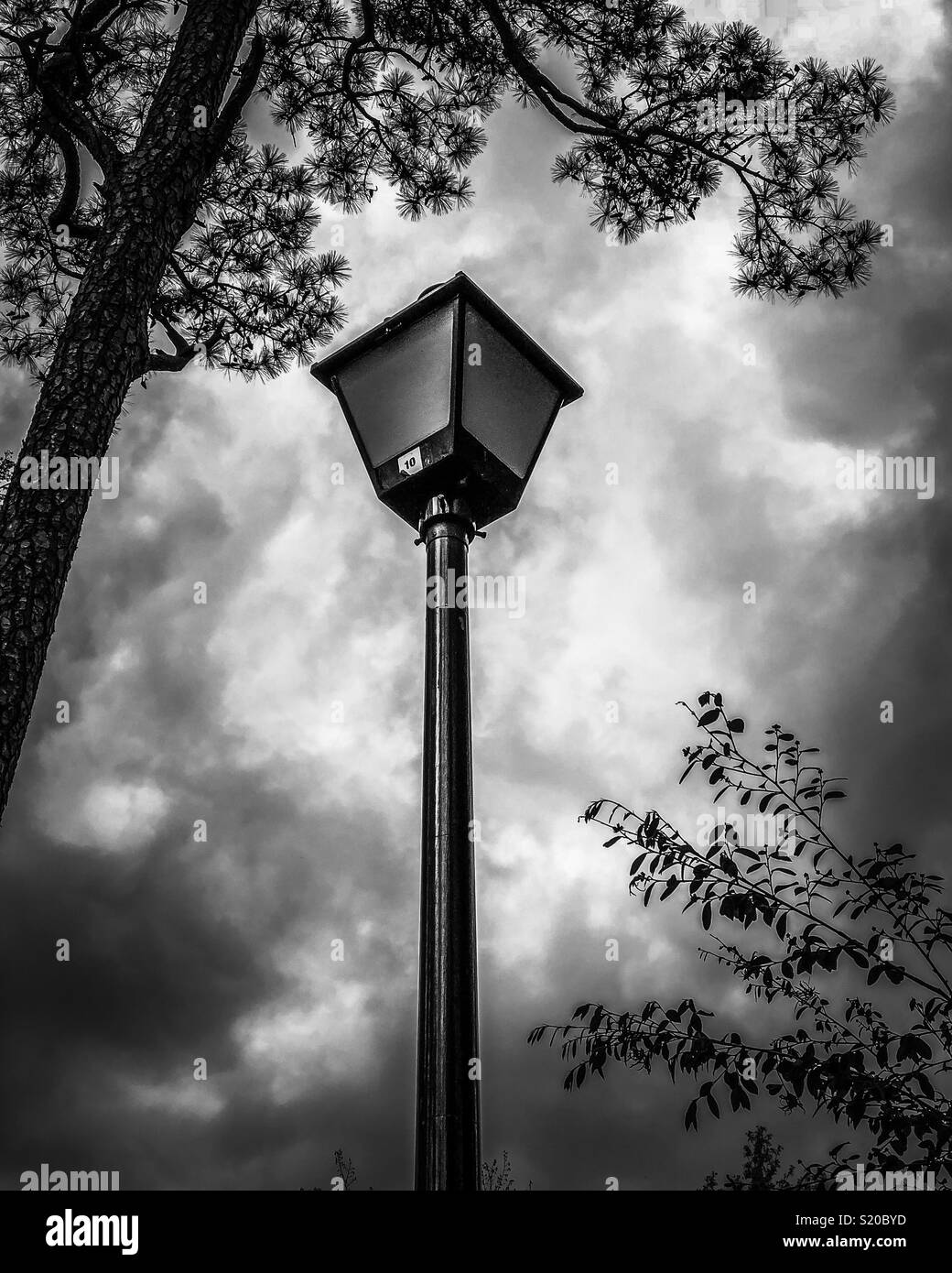 Black light post Black and White Stock Photos & Images - Alamy