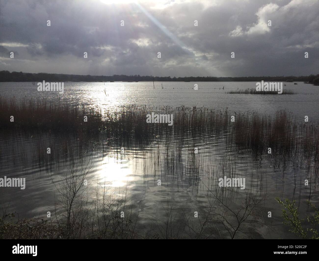 Sunlight over water hi-res stock photography and images - Alamy