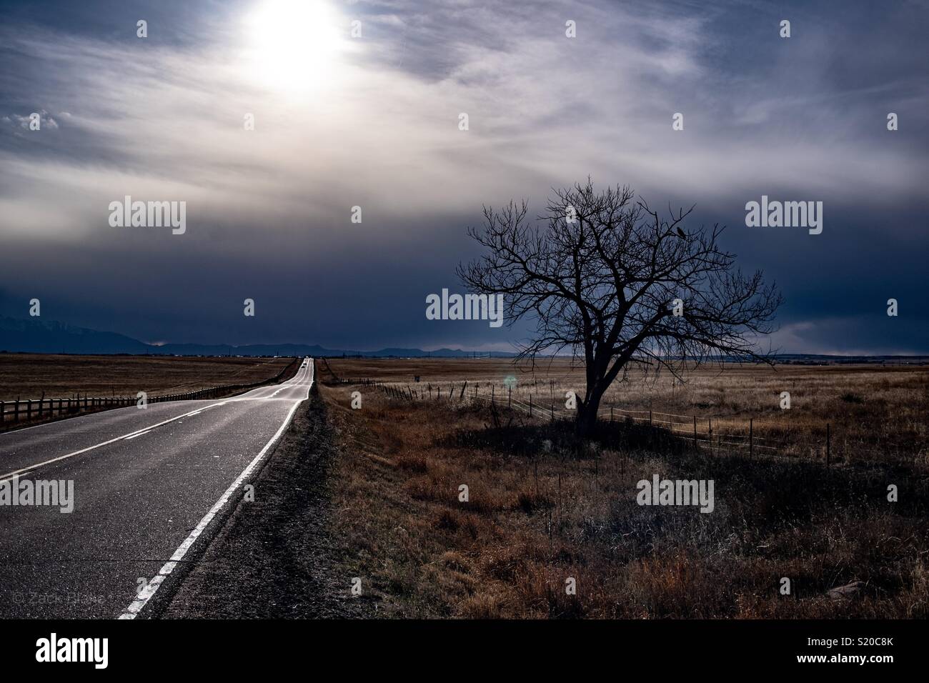 Lonely road with a single tree Stock Photo - Alamy