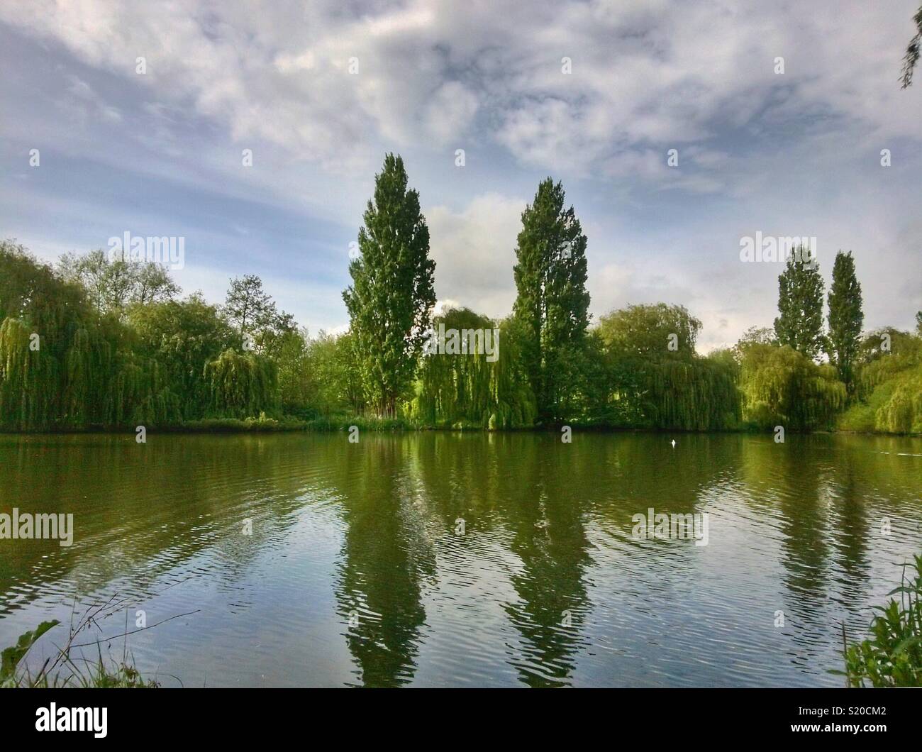 Tree lined pond hi-res stock photography and images - Alamy