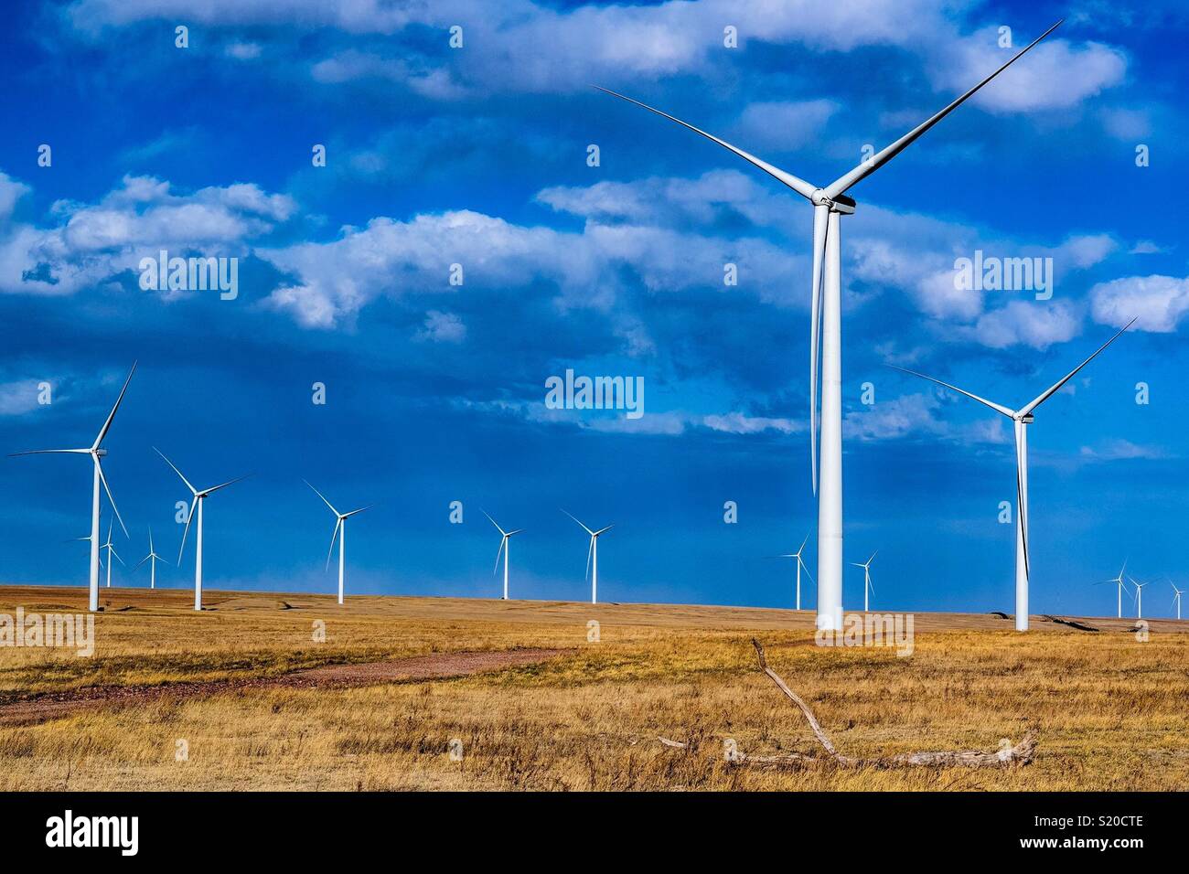 Field of windmills Stock Photo - Alamy