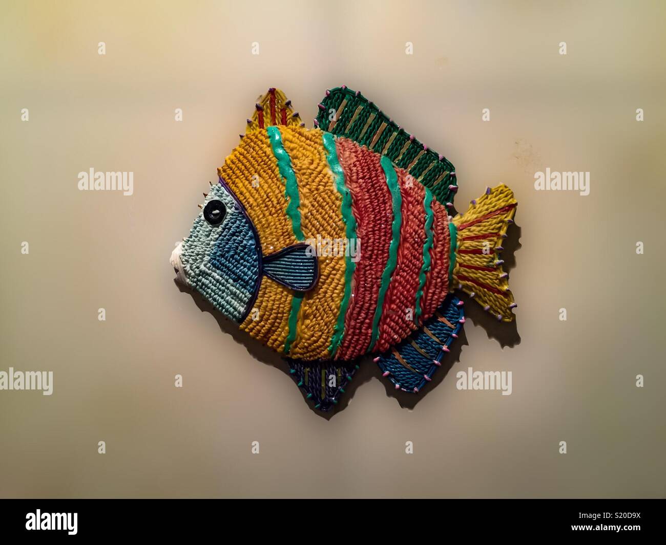 Fish in many colours Stock Photo - Alamy