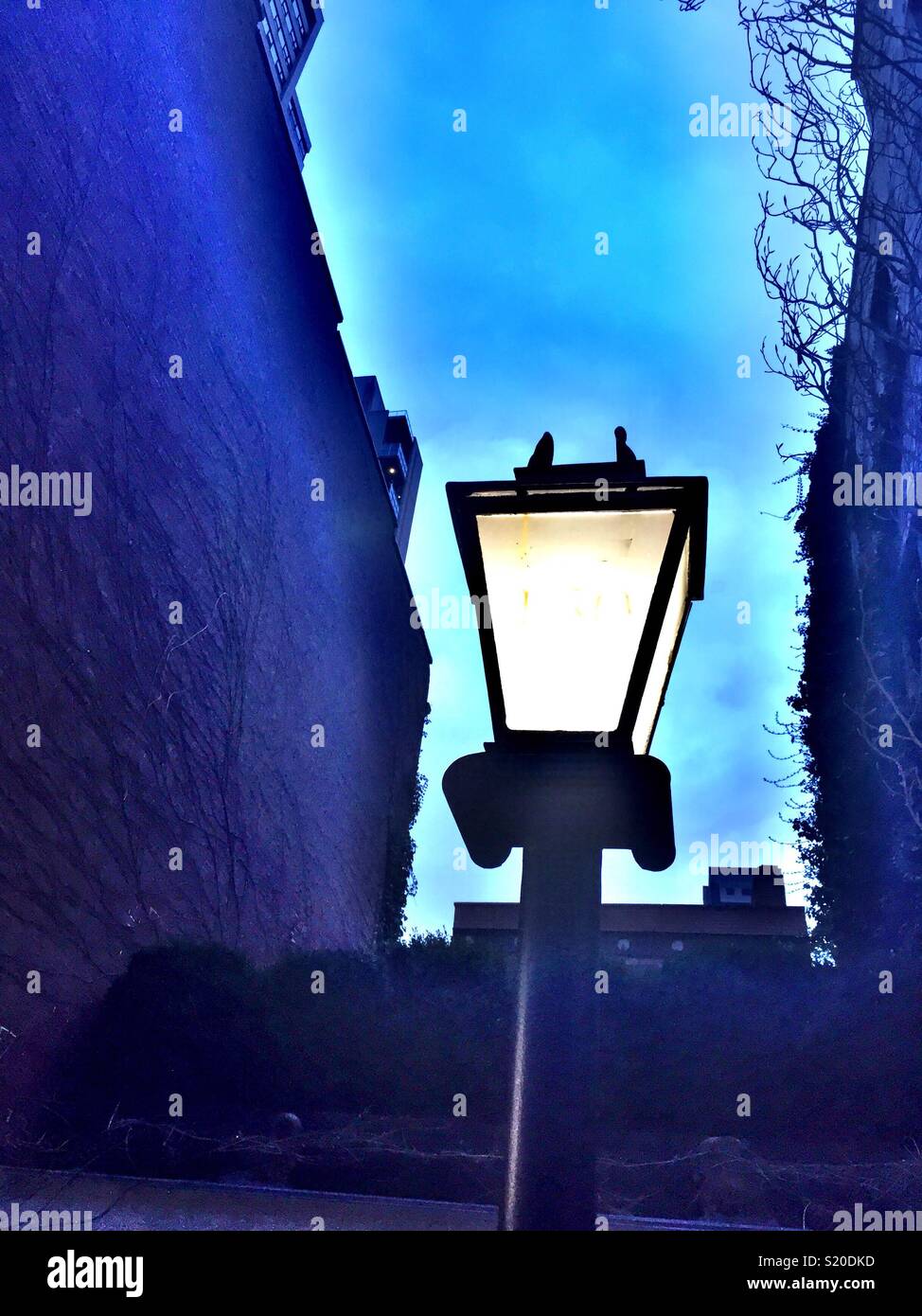 Blue light buildings from below smartphone stock photos and images - Alamy
