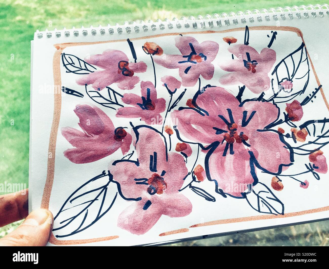 Sketching spring flowers Stock Photo - Alamy