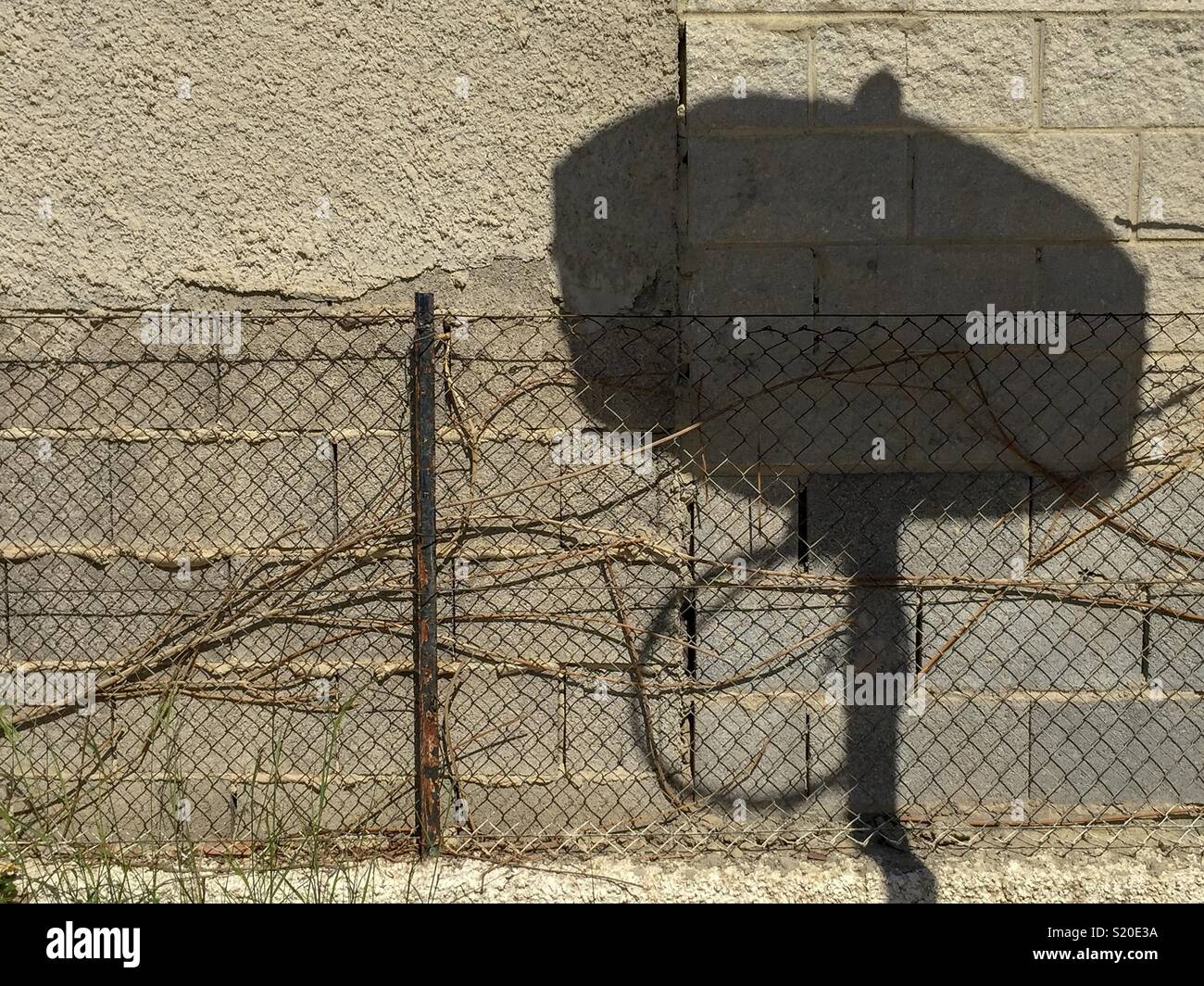 Shadow of basketball ring on the wall Stock Photo - Alamy