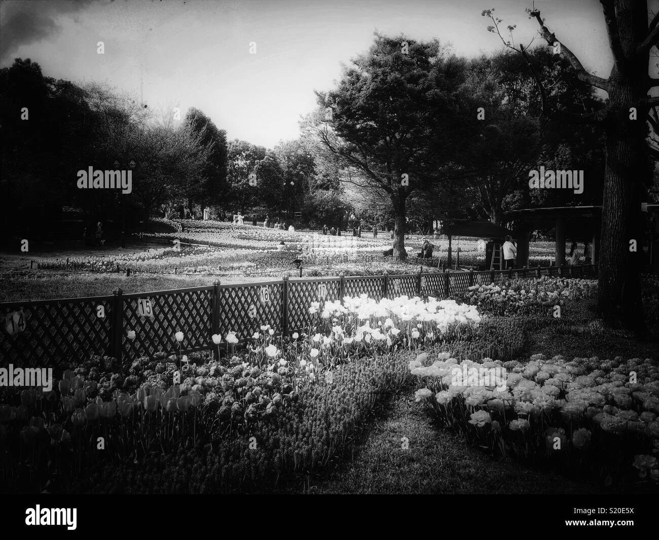 Kisosansen park , in Japan Stock Photo - Alamy