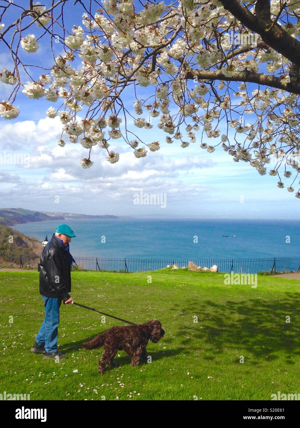 Spring season on Babbacombe Downs, Torquay, Devon, U.K Stock Photo - Alamy
